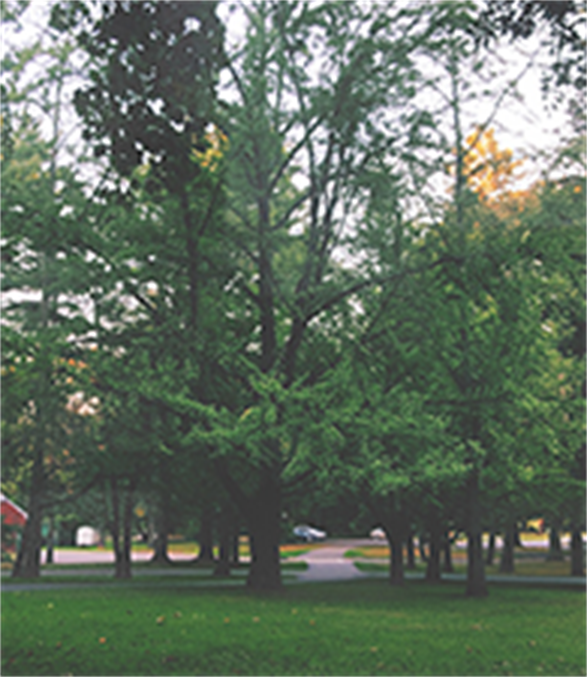 Get an Animal Permit - City of Columbus, Ohio