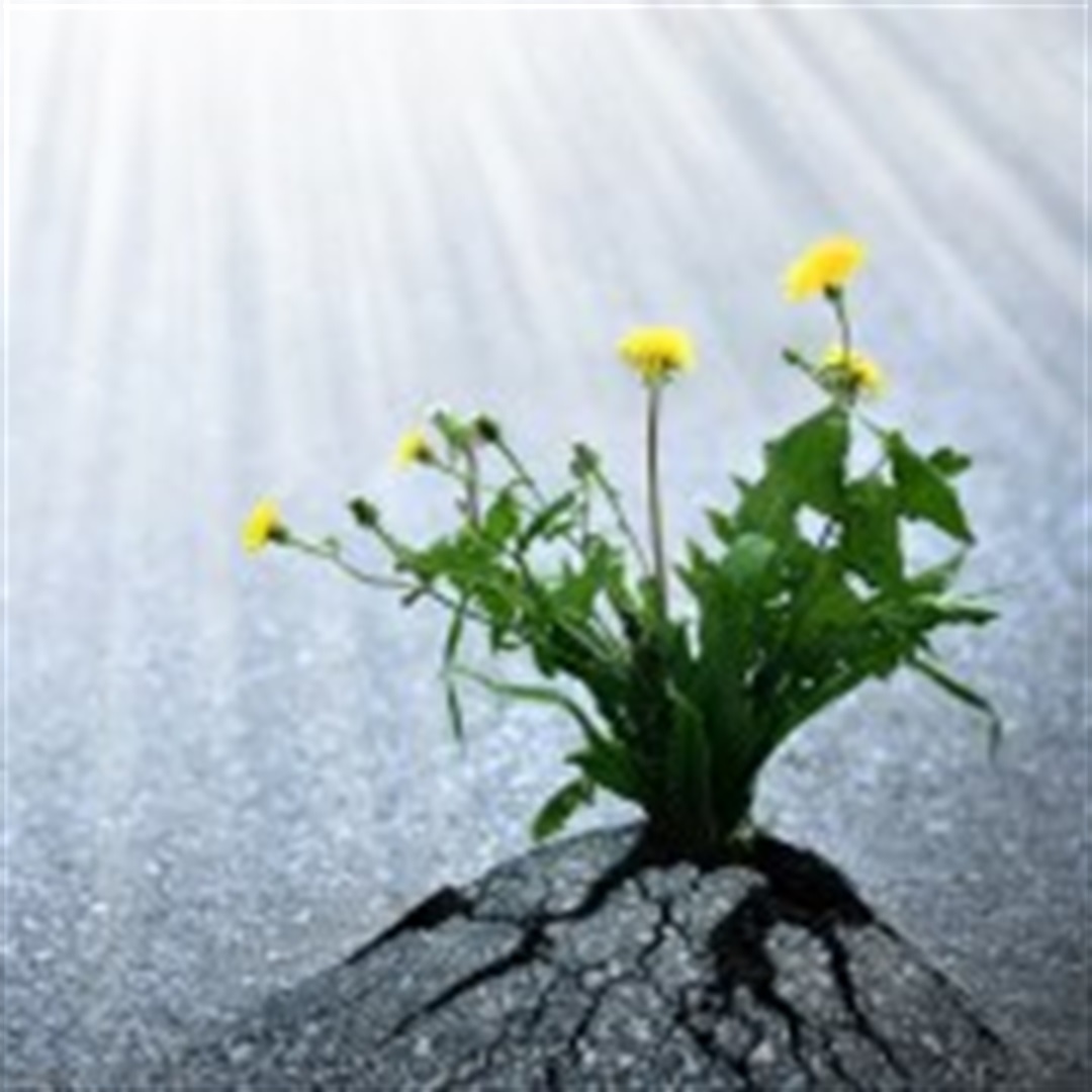 Safe Needle Program - City of Columbus, Ohio